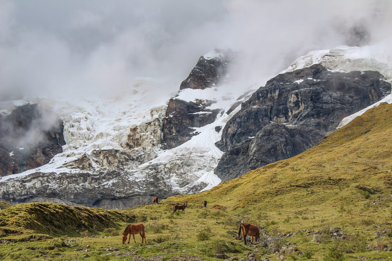 Salkantay Trekking in Perù: A piedi fino al Machu Picchu | Viaggiando ...